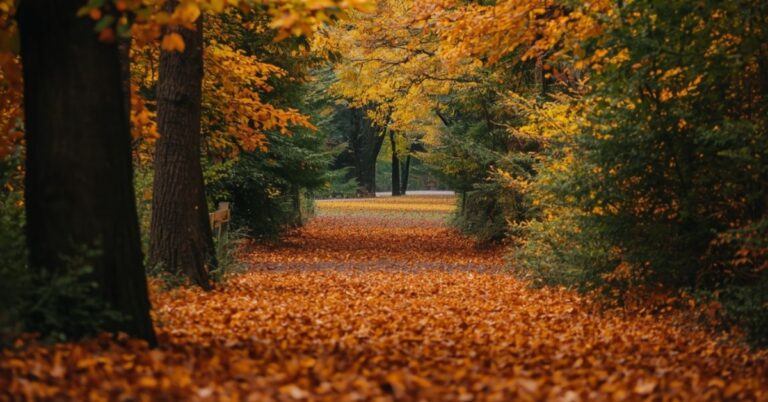 20 Fall and Autumn Poems That Celebrate the Season of Change