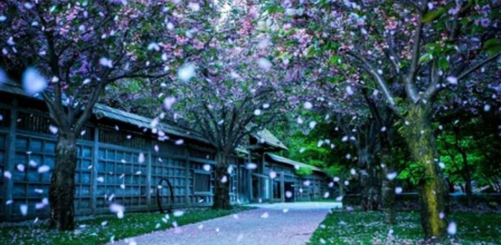 Poems About Spring: 15 Beautiful Verses to Welcome the Season