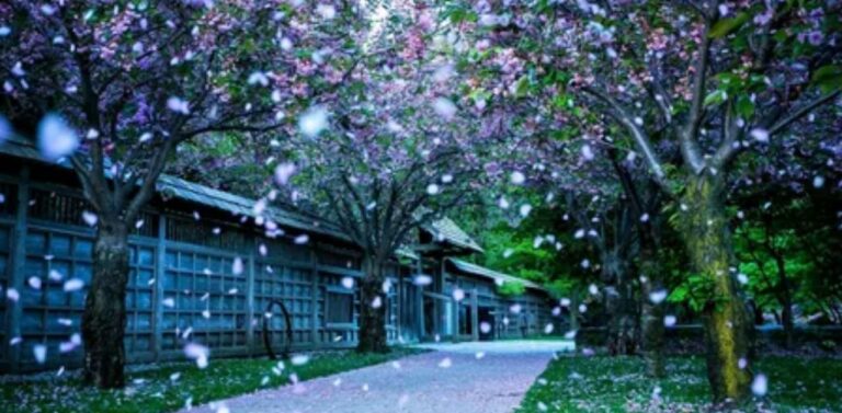 Poems About Spring: 15 Beautiful Verses to Welcome the Season